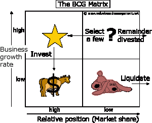 Business: BCG Growth Share Matrix Part I – LEARNBOOK.ORG